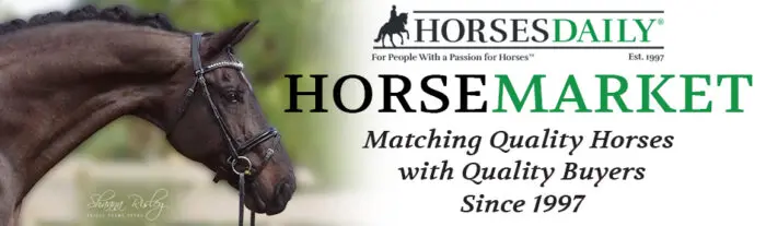 News - HorsesDaily