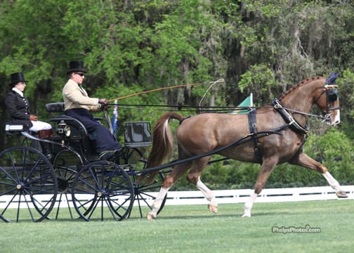 Sterling Graburn Nails USEF National Single Horse Championship ...