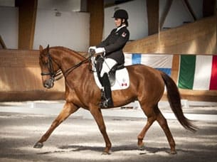 Canadian Para-Equestrian Team Wins Gold in Portugal - HorsesDaily
