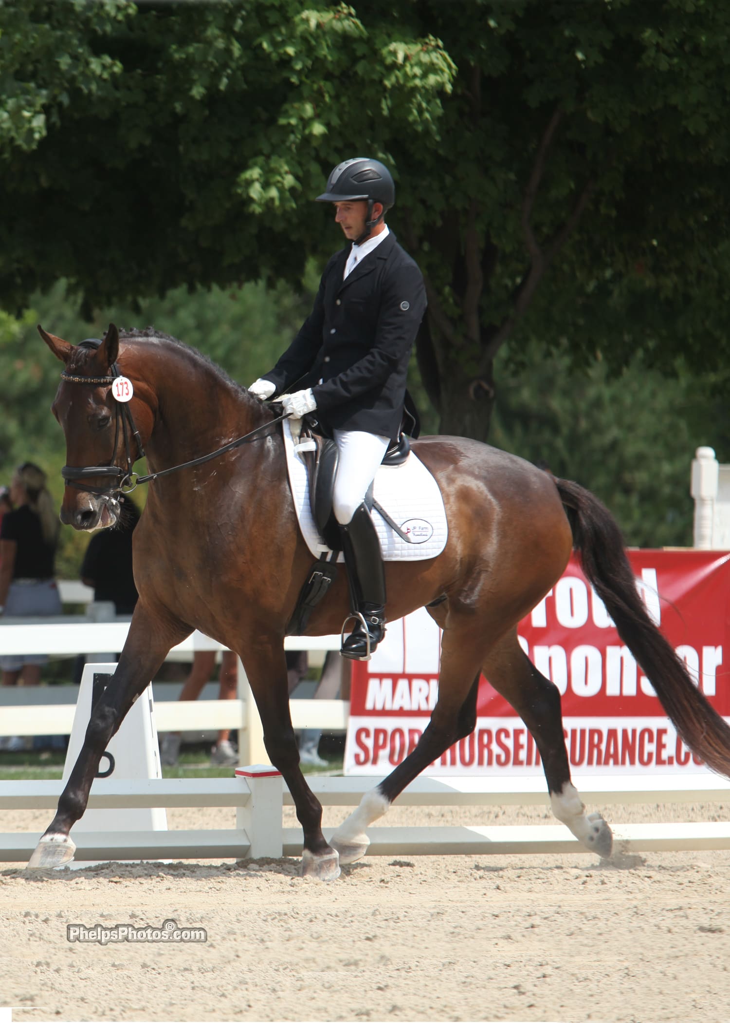 Alice Tarjan and Elfenfeuer Set the Standard for the Five-Year-Old ...