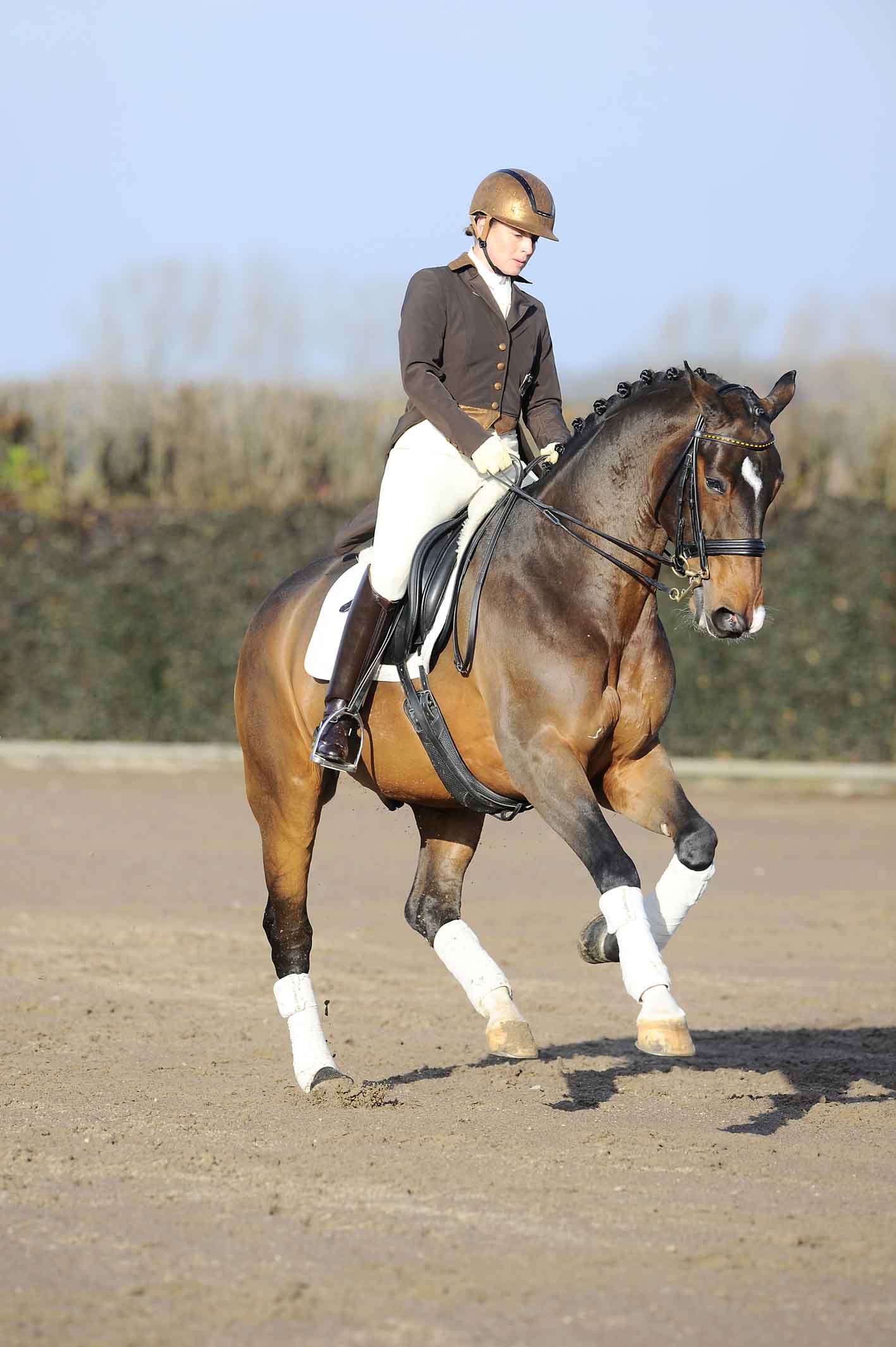 Isabell Werth Shows Off Golden Helmet in Frankfurt and Makes a ...