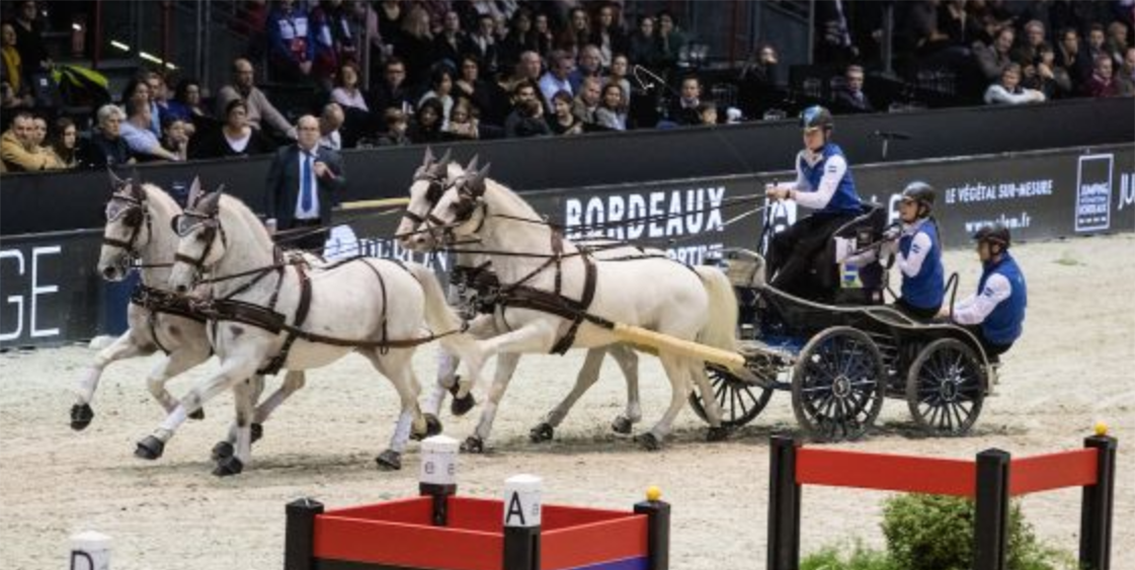 Bram Beats Boyd in Bordeaux - Bram Chardon FEI Driving World Cup ...