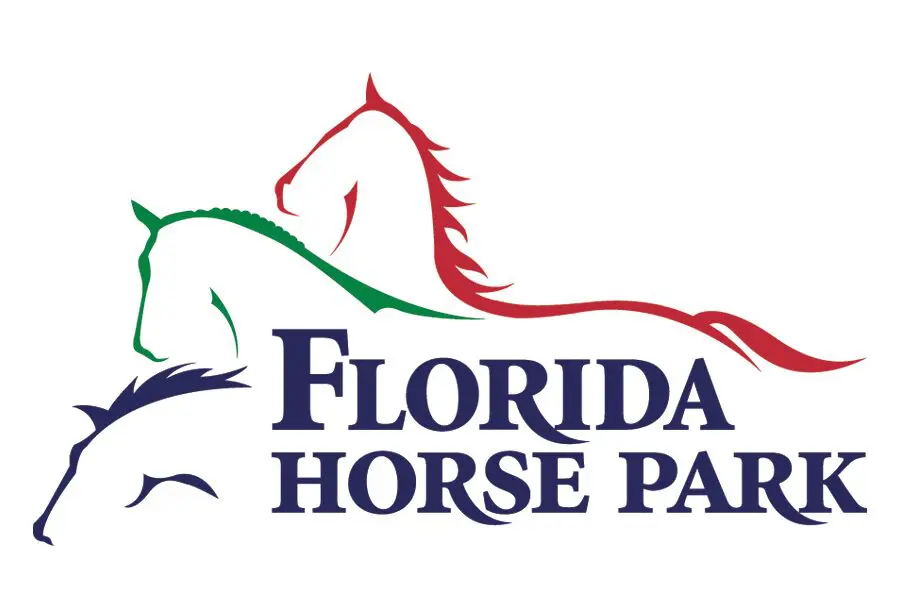 The Florida Spring Fling Driving Competition 2019 - HorsesDaily