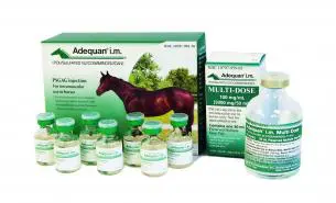 Adequan 101: Using FDA Approved Medication to Help Your Horse - HorsesDaily