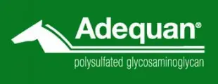 Why There is No Generic Adequan® - HorsesDaily