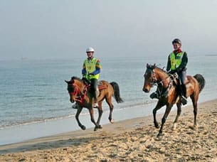The Namibian WEG Team - The Long Road from Africa - HorsesDaily