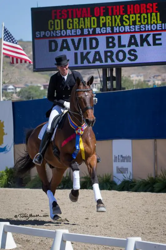David Blake and Ikaros Return to Winning Form in the Festival of the ...