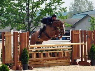 Brian Walker and Garfield Victorious in High Performance Hunters at ...