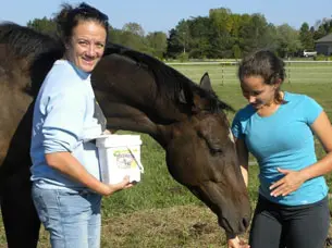 Cathy Pierson Wins First Cookies with a Clue Contest - HorsesDaily