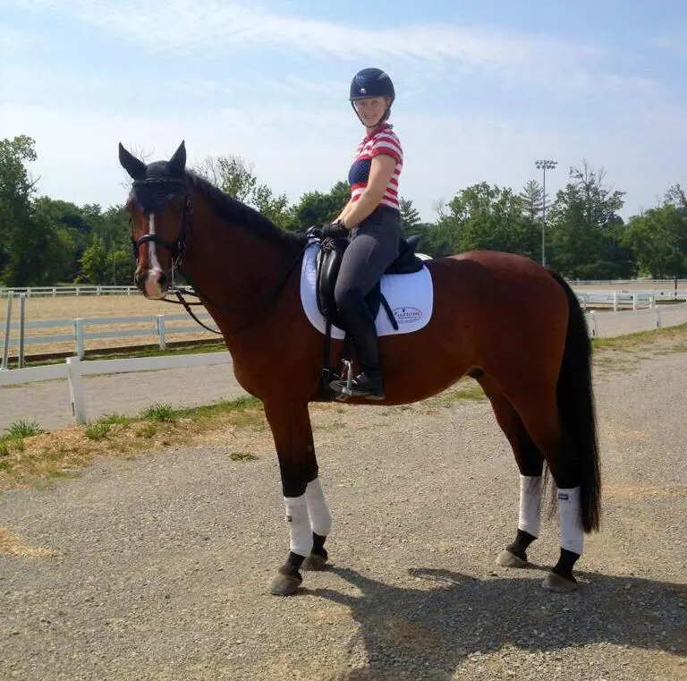 An American Dressage Star is Born – Catherine Rose Chamberlain 2014 ...