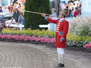 What Drives People to Devon? - HorsesDaily
