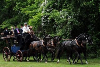 Tucker Johnson Claims The Devon Pleasure Carriage Driving Championship ...