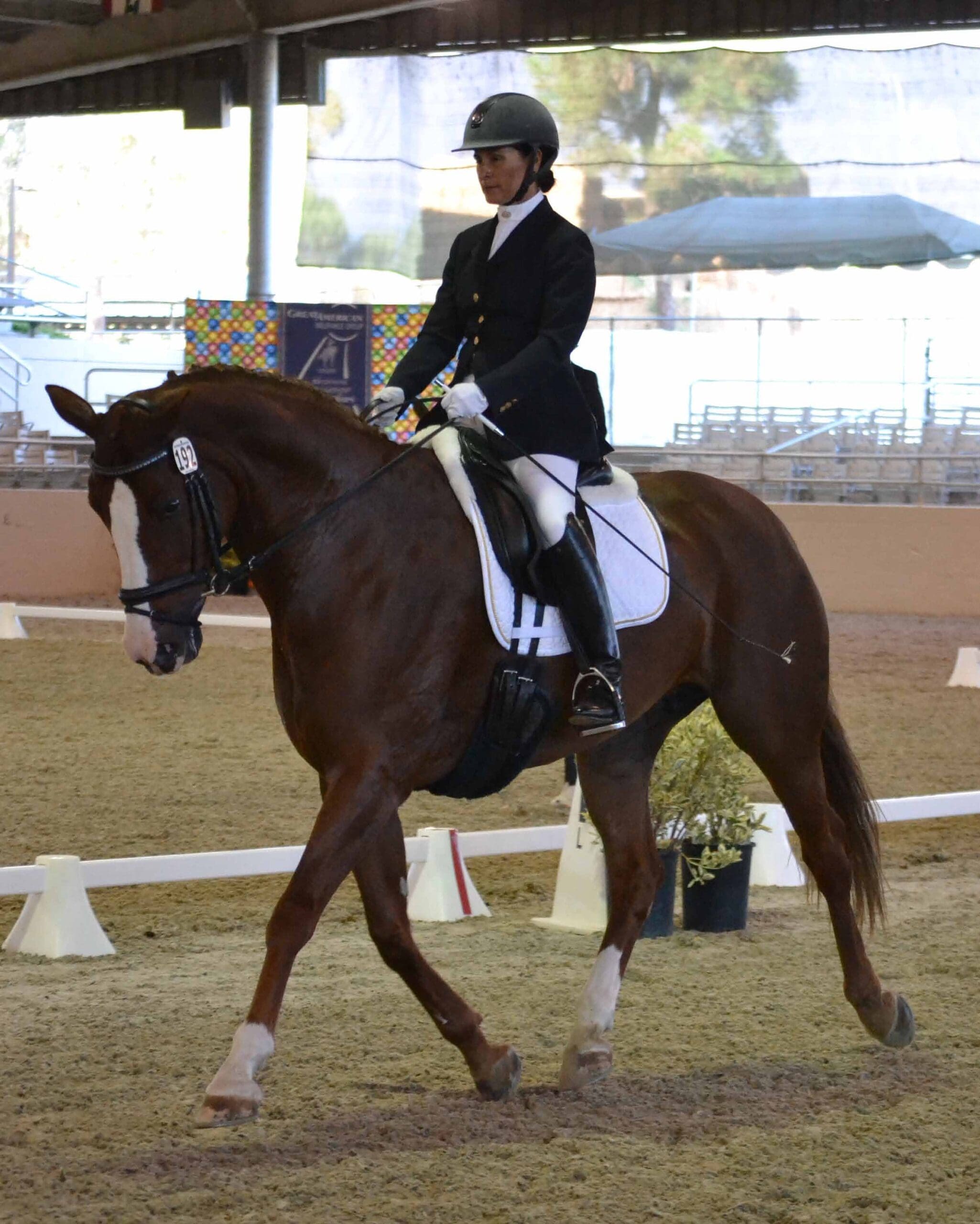 Let the Party Begin: 45th Anniversary California Dressage Society ...
