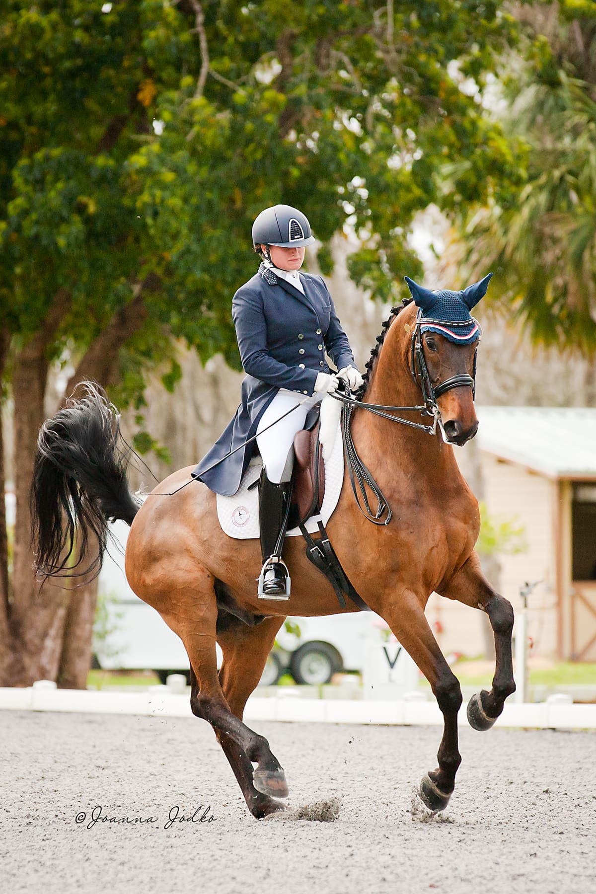 Emily Smith and Dublin Launch Their Dressage Young Rider Quest With a ...