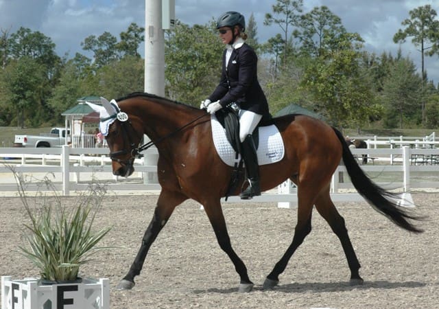 Jules Anderson Makes Time for a Project Horse that Means Everything to ...