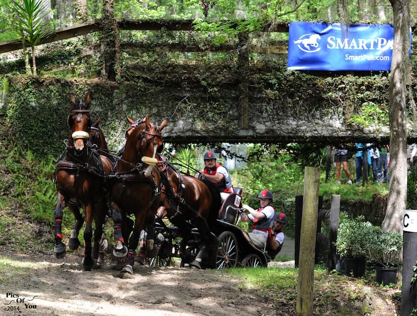 Chester Weber Dominates After Marathon in FEI Four-in-Hand Horse USEF ...