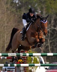 It’s A Magical Time in the Gulf for Frances Land and Merlin - HorsesDaily