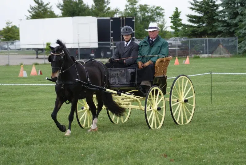 In Memoriam: Gerald T. McCallum (1936 - 2014) - HorsesDaily