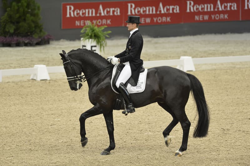 Big Win for Edward Gal as Dutch Dominate at Last Reem Acra Qualifier in ...