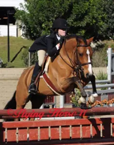 Ponies Get Their Day in the Sun at National Preview - HorsesDaily