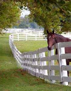 Managing Mud and Manure - Green Stable Management Practices That Make ...