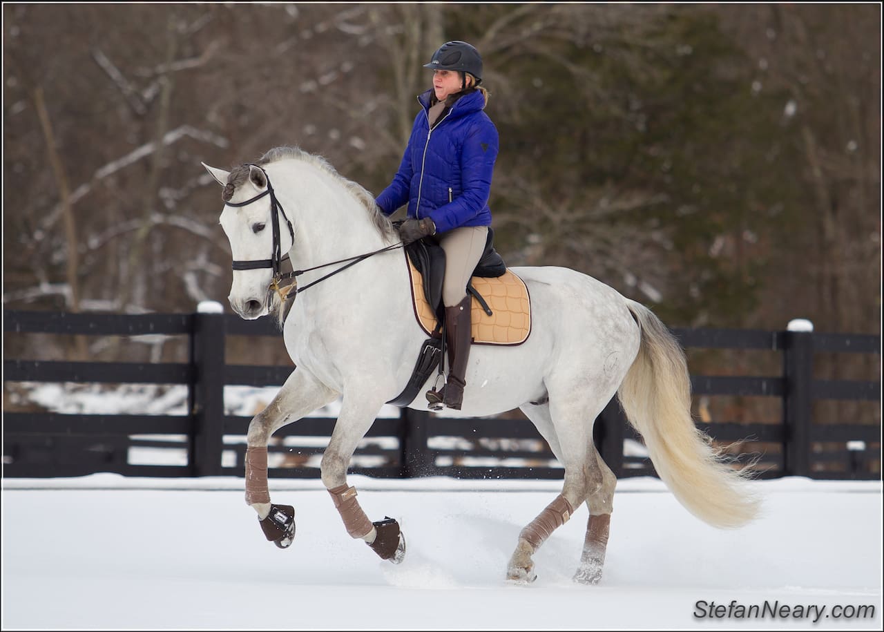 Tips for Riding In A Winter Wonderland with Debra Wiedmaier - HorsesDaily