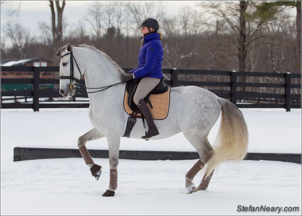 Tips for Riding In A Winter Wonderland with Debra Wiedmaier - HorsesDaily