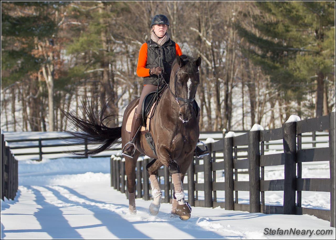 Tips for Riding In A Winter Wonderland with Debra Wiedmaier - HorsesDaily