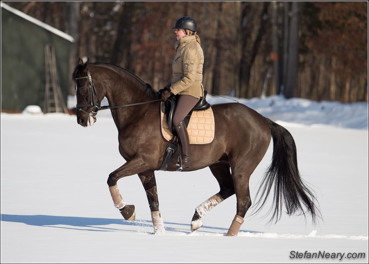 Tips for Riding In A Winter Wonderland with Debra Wiedmaier - HorsesDaily
