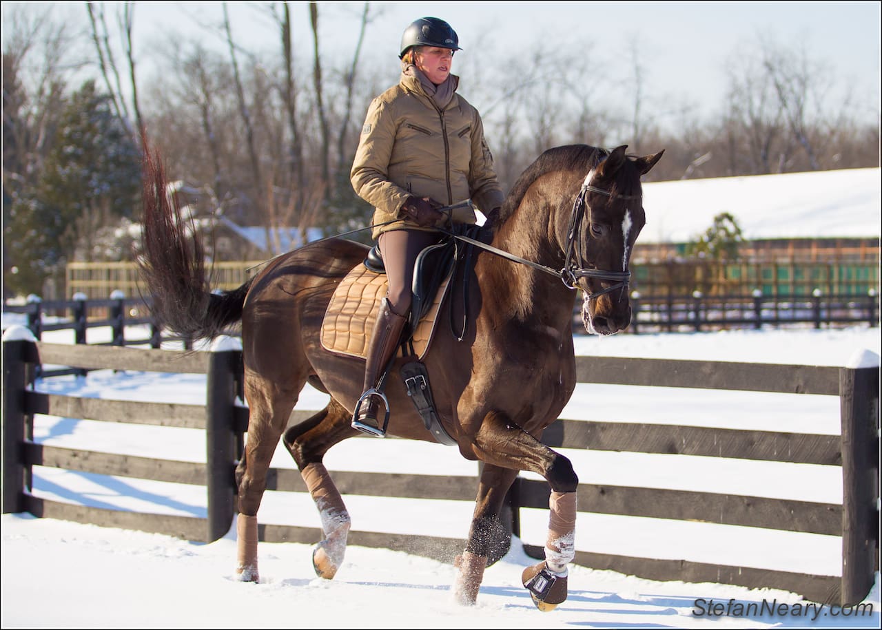 Tips for Riding In A Winter Wonderland with Debra Wiedmaier - HorsesDaily