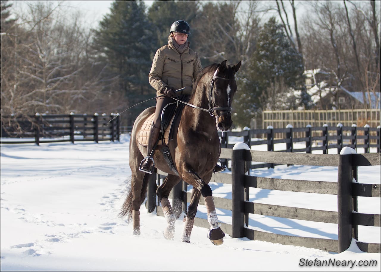 Tips for Riding In A Winter Wonderland with Debra Wiedmaier - HorsesDaily