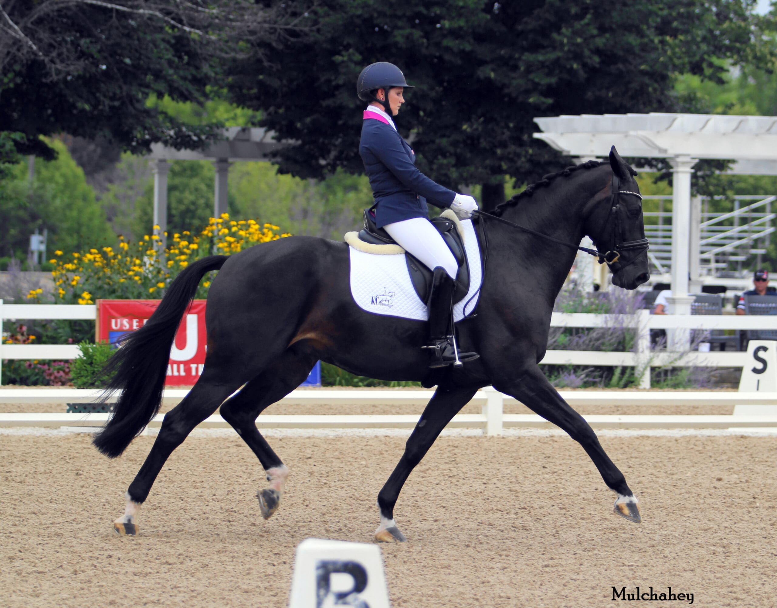 Kelly Casey - From Young Riders to Young Horses - HorsesDaily