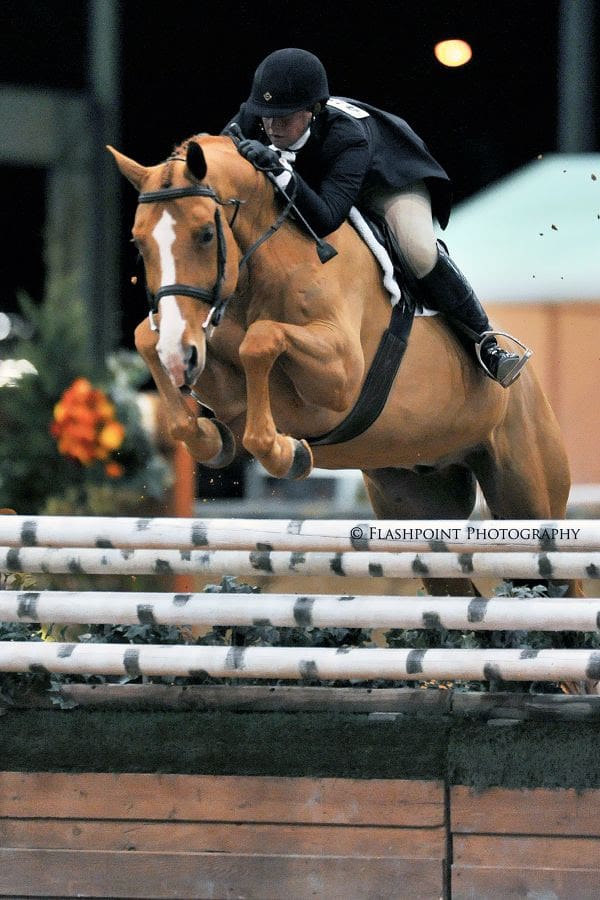 Jennifer Alfano and Jersey Boy Take Jacksonville By Storm - HorsesDaily