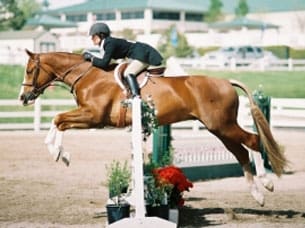 Dreams Come True at High Prairie Fall Preview - HorsesDaily