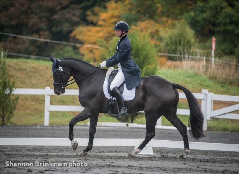 Californian Matthew Brown Leads CCI** After First Day of Competition ...