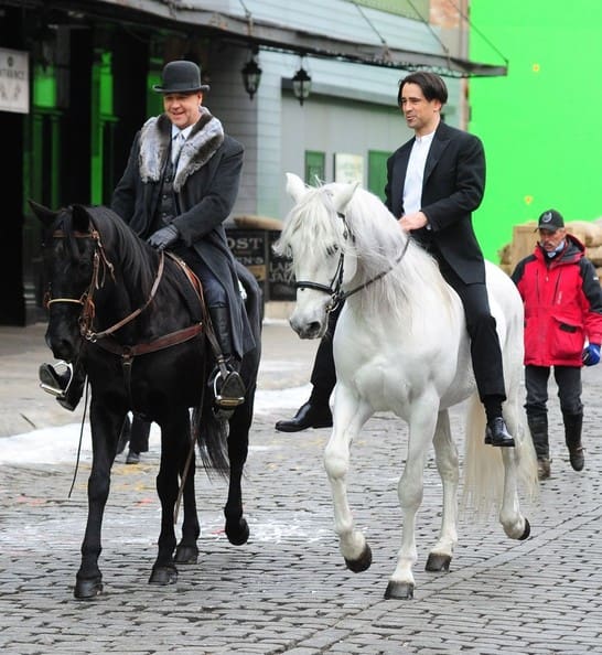 The Movie Business is Just a Part of the Dressage and Western World of ...