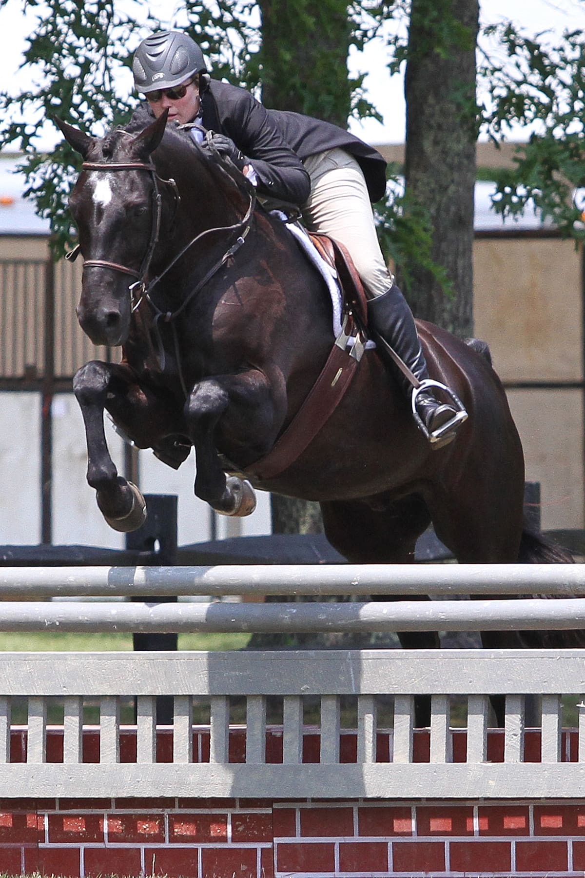 Emily Bickford and KEC Kool Kat Win $10,000 Fieldstone 3'3" Hunter ...