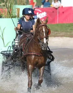 FEI World Pony Driving Championships - U.S Maintains Bronze Medal ...