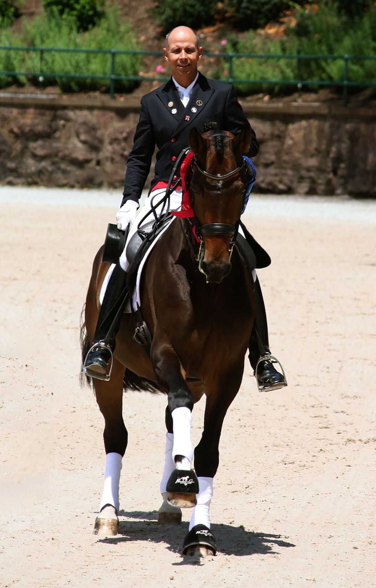 Premier Equestrian and Top Olympians: A Recipe for Success - HorsesDaily