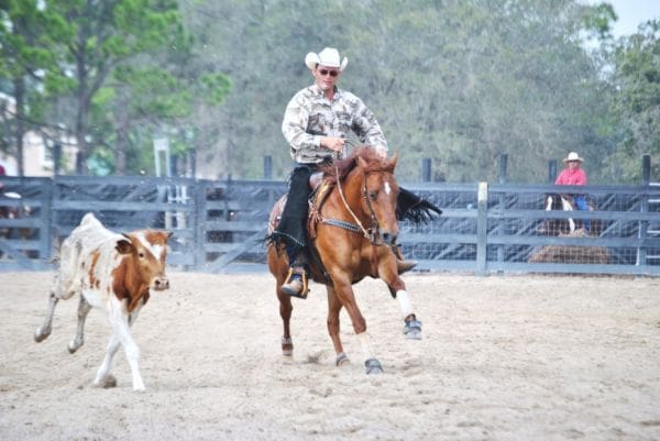 Show By Appointment Reined Cow Horse Series Announces Winter Circuit ...