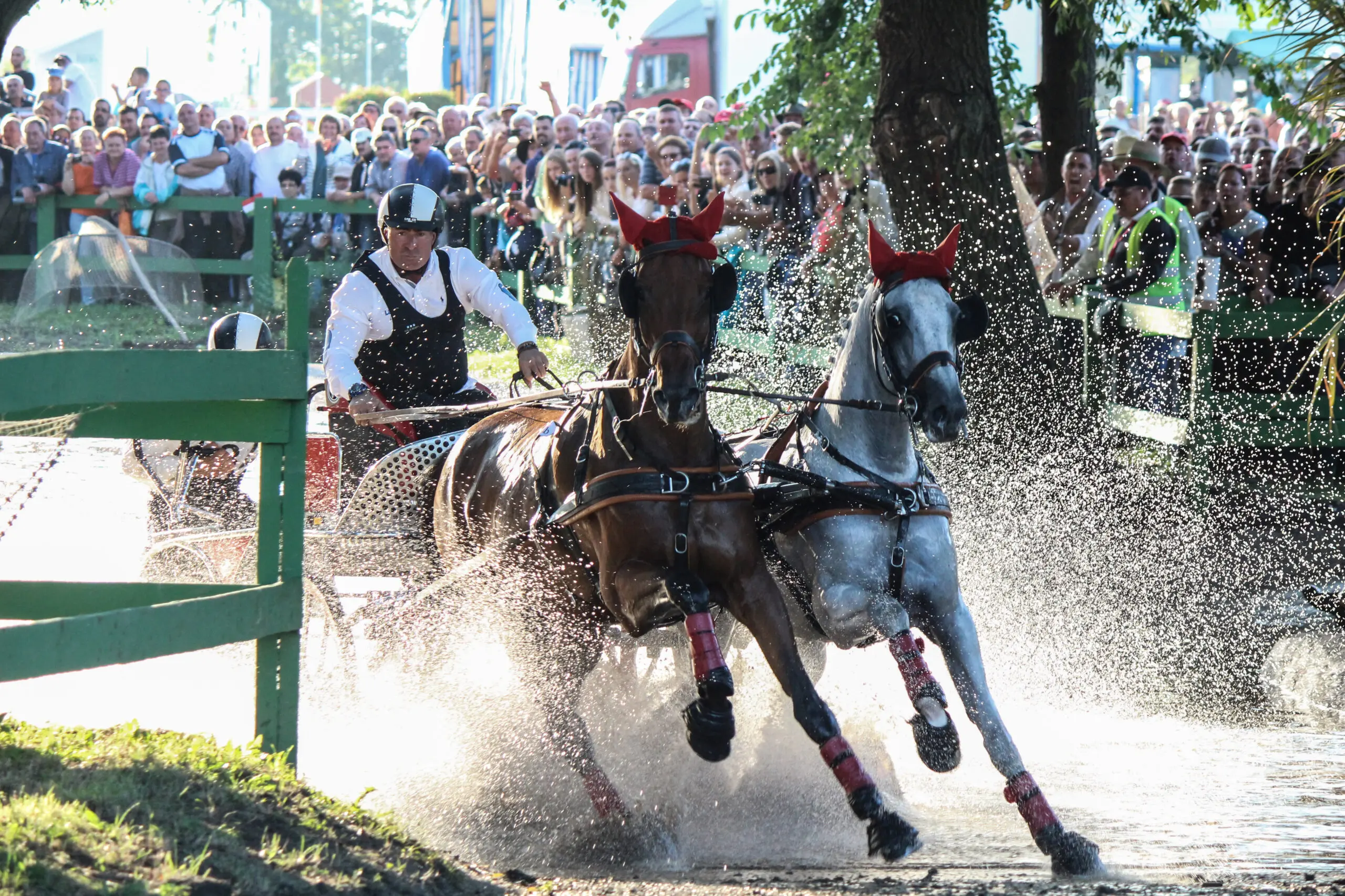 Vilmos Lázár Takes Individual Title and Leads Hungary to Team Gold ...