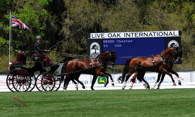 Chester Weber, Suzy Stafford Take Early Leads Following Yellowframe ...