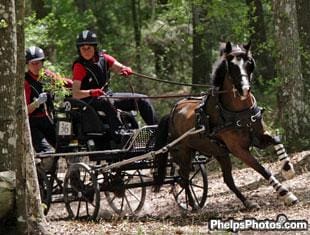 US World Pony Driving Championship Team Enroute to Germany - HorsesDaily