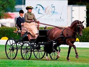 U.S. in Fourth Place after Dressage Phase of FEI World Pony Driving ...