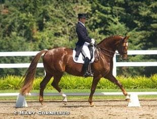 USEF High Performance Rider Jeremy Steinberg on the Move in Washington ...