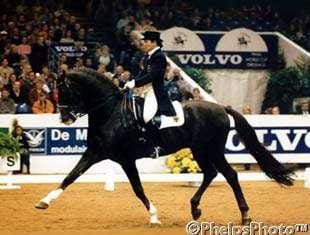 Donnerhall: successful in sport and breeding - HorsesDaily