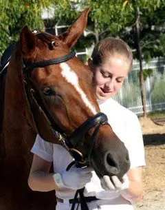 A Synopsis of the Wellington 2008 Junior/Young Rider Clinic - HorsesDaily