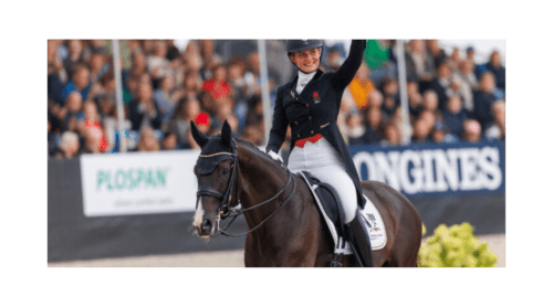 FEI World Championship Young Dressage Horses - Ermelo 2024 Highlights ...