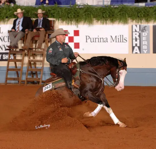 Make It Six Million for Spooks Gotta Whiz - HorsesDaily