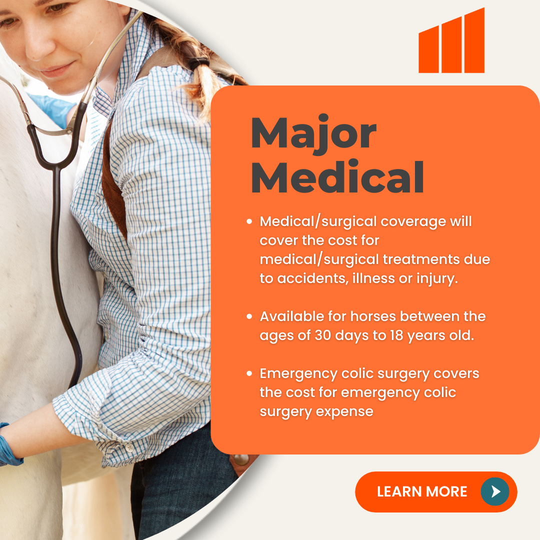 Available Online - FEI General Assembly Presentations and Updated FEI ...